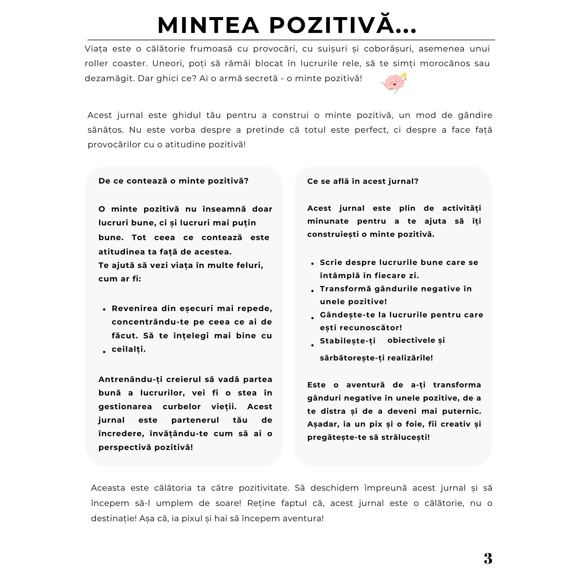 Jurnal Digital - Jurnalul Mintii Pozitive - Transforma-ti Viata prin ...