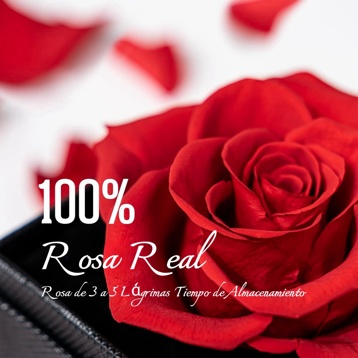 Set Cadou Elegant cu Trandafir Criogenat Rosu – Colier si Inel Coroana ...