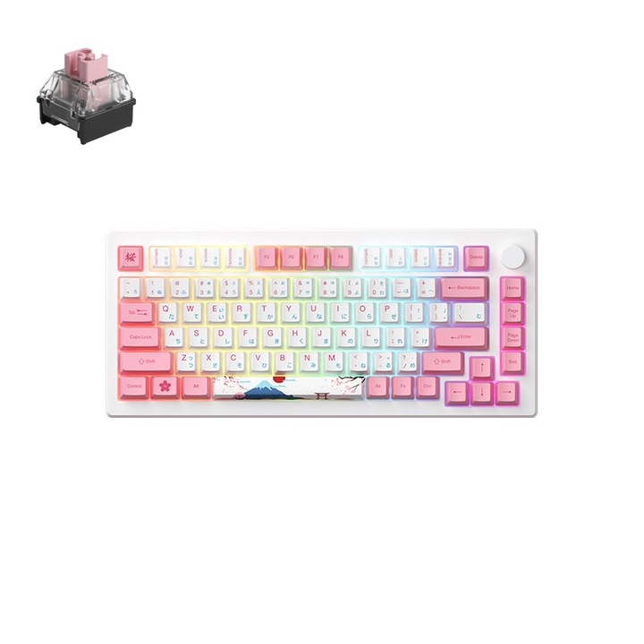 Tastatura Magnetica Wireless Akko MOD007B PC Tokyo 2.4GHz, Bluetooth 5. ...