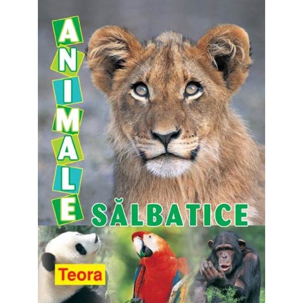 Animale salbatice - eMAG.ro