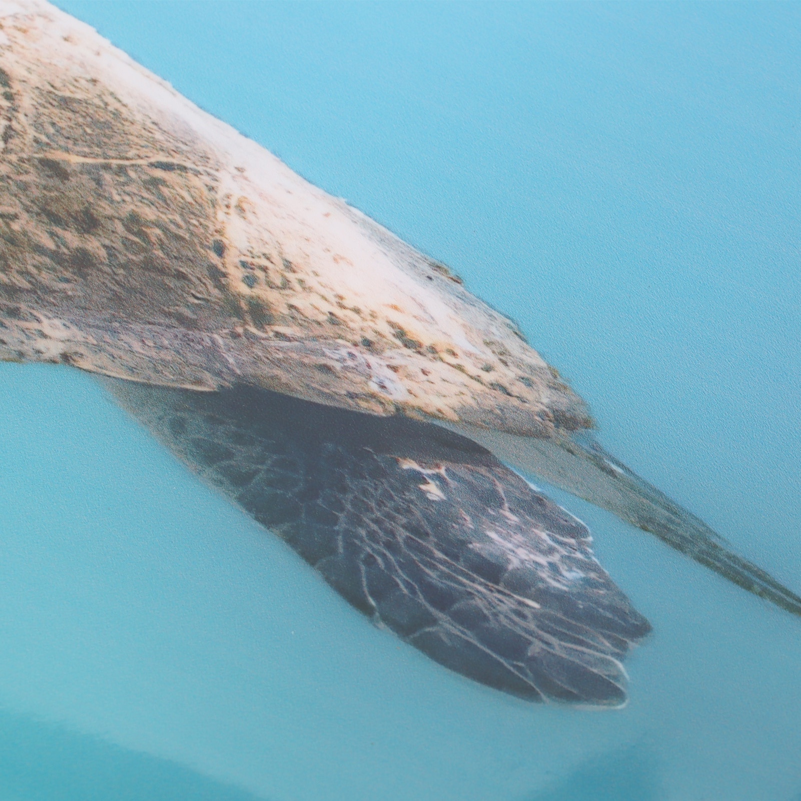 Hartie de fundal acvariu PVC autocolant, Enforose, efect 3D, culori ...