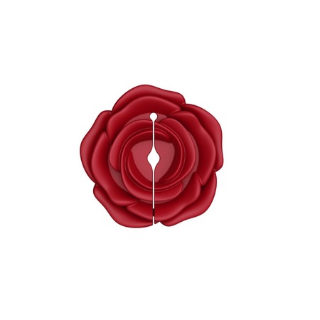 Cleme pentru sfarcuri vibratoare, Puepoul, control remote, Stimularea ...