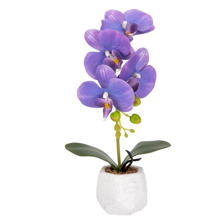 Orhidee cu aspect natural in ghiveci ceramic, 41 cm, Naimeed D6884, Mov ...