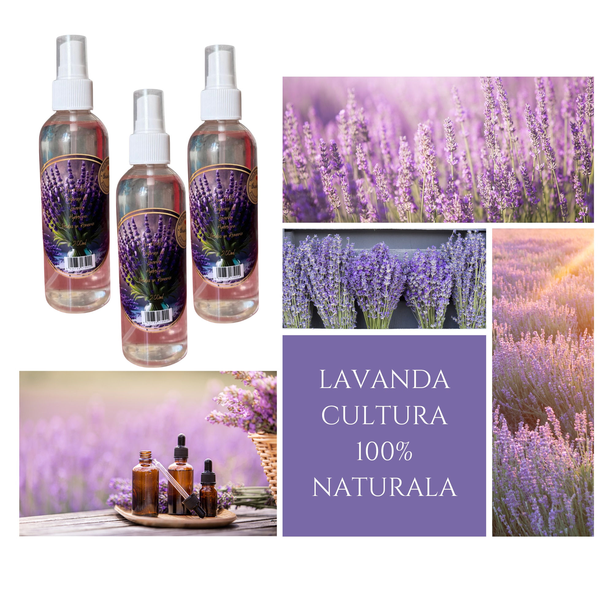 Apa florala de Lavanda Hidrolita Organica, 200ml - eMAG.ro