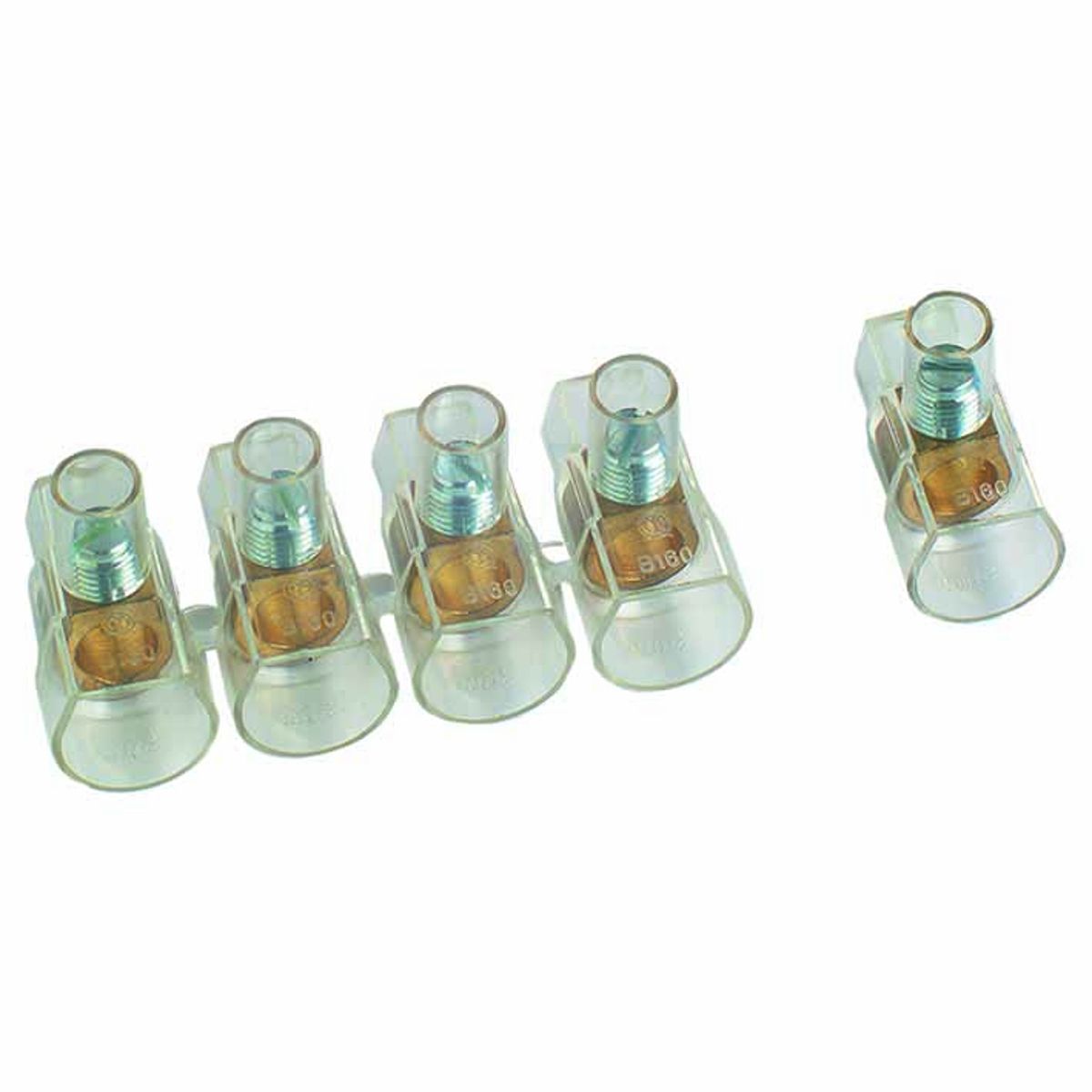 Regleta (rigleta), Transparenta, Cap Fir, Set de 10 Buc, Izolate ...