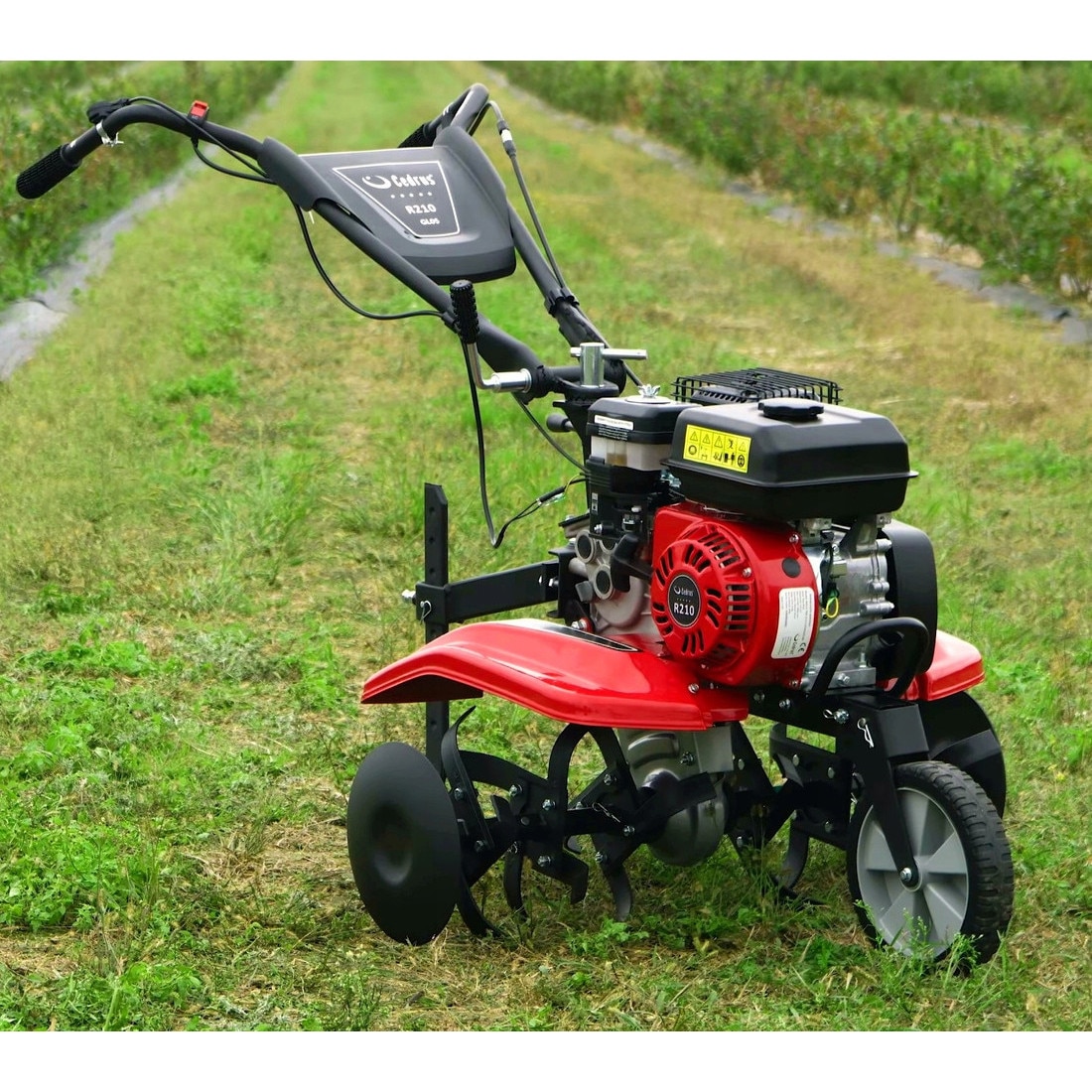 Motocultor Cedrus GL05, 7 KM, 85 cm, 3 viteze, cu roti mari, benzina ...