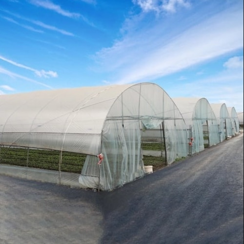 Folie pentru solar OC EUROSTAR 2W, 150 microni, Protectie raze solare ...