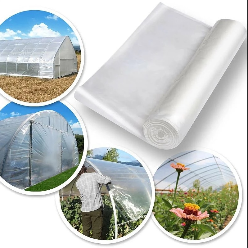 Folie pentru solar OC EUROSTAR 2W, 150 microni, Protectie raze solare ...
