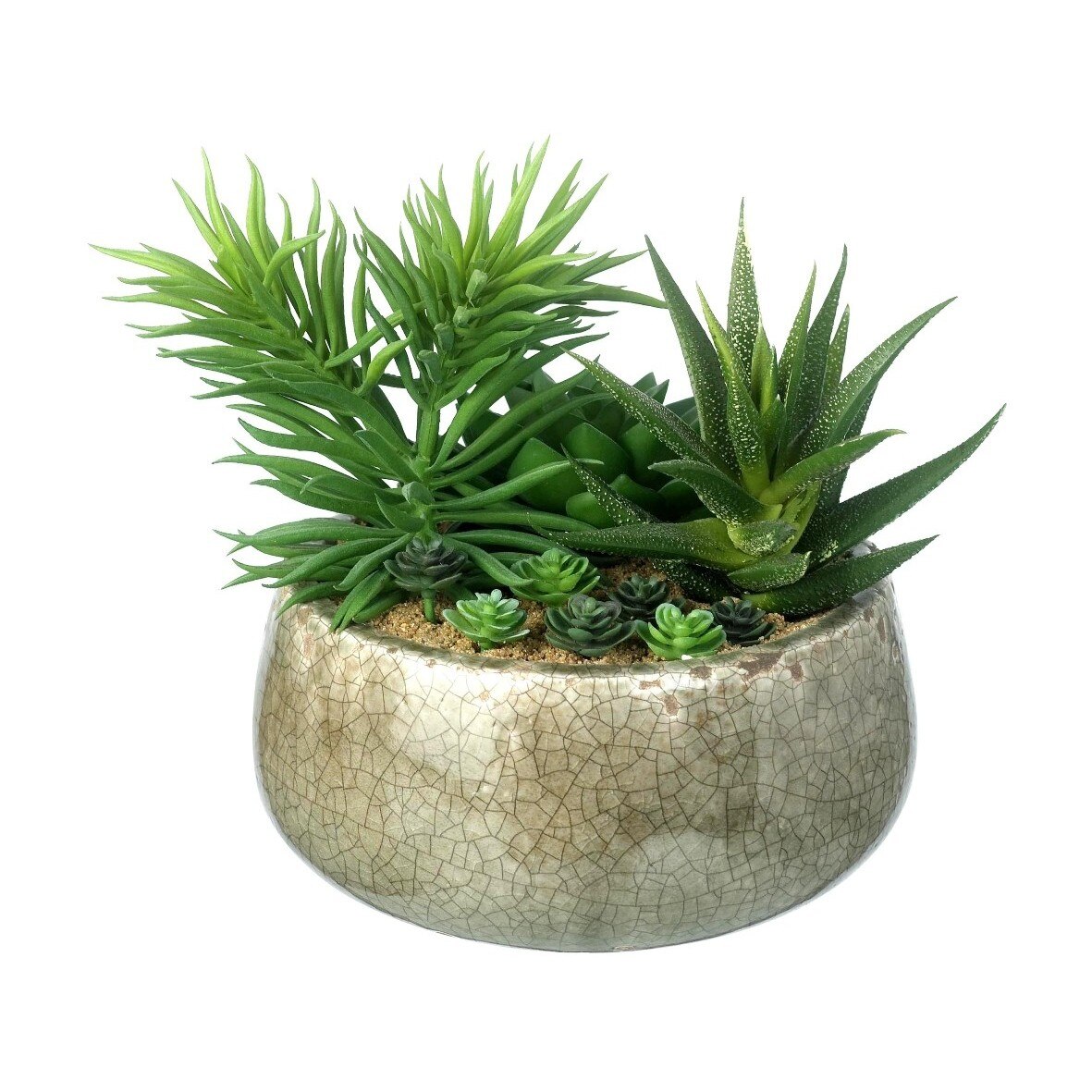 Декоративно растение Parlane 22см - eMAG.bg