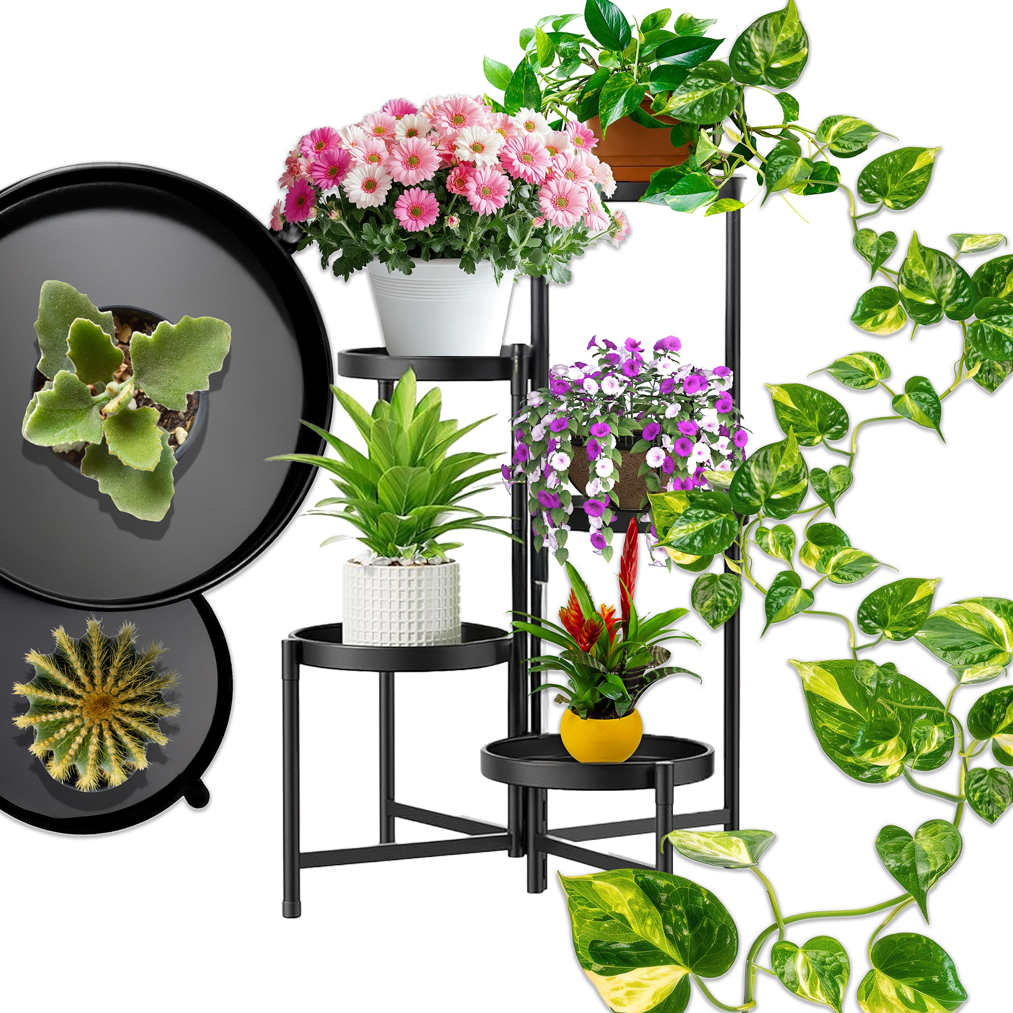 Suport pentru plante, Stand de flori GALAXIA®, 5 niveluri, raft metalic ...