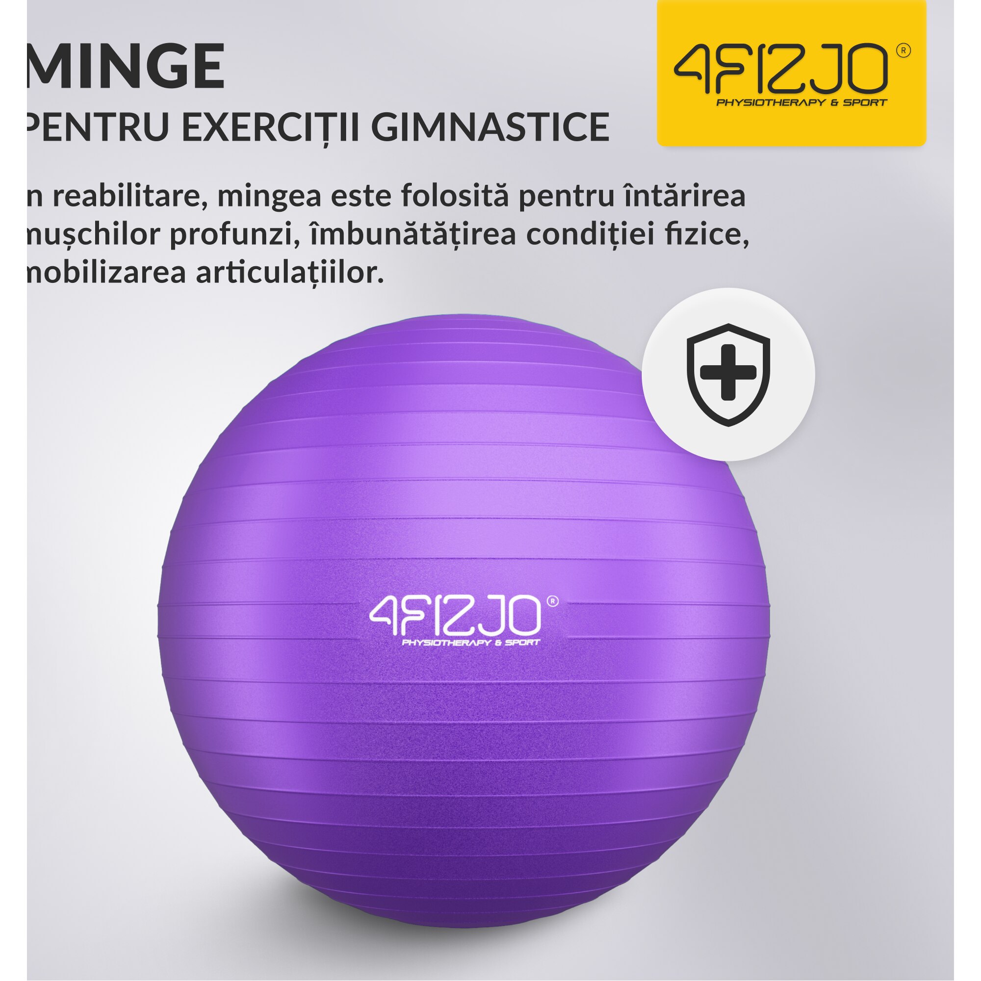 Minge pentru fitness, 85 cm, 4FIZJO, pentru antrenarea spatelui, pentru ...