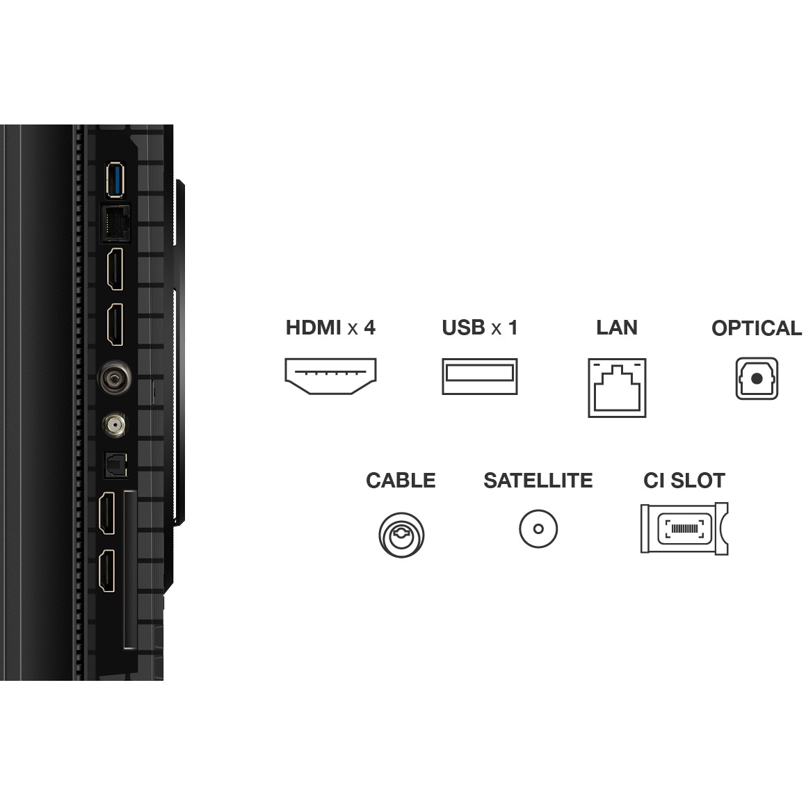 Televizor TCL QLED 75P8K, 189 cm, Smart Google TV, 4K Ultra HD, 100Hz ...