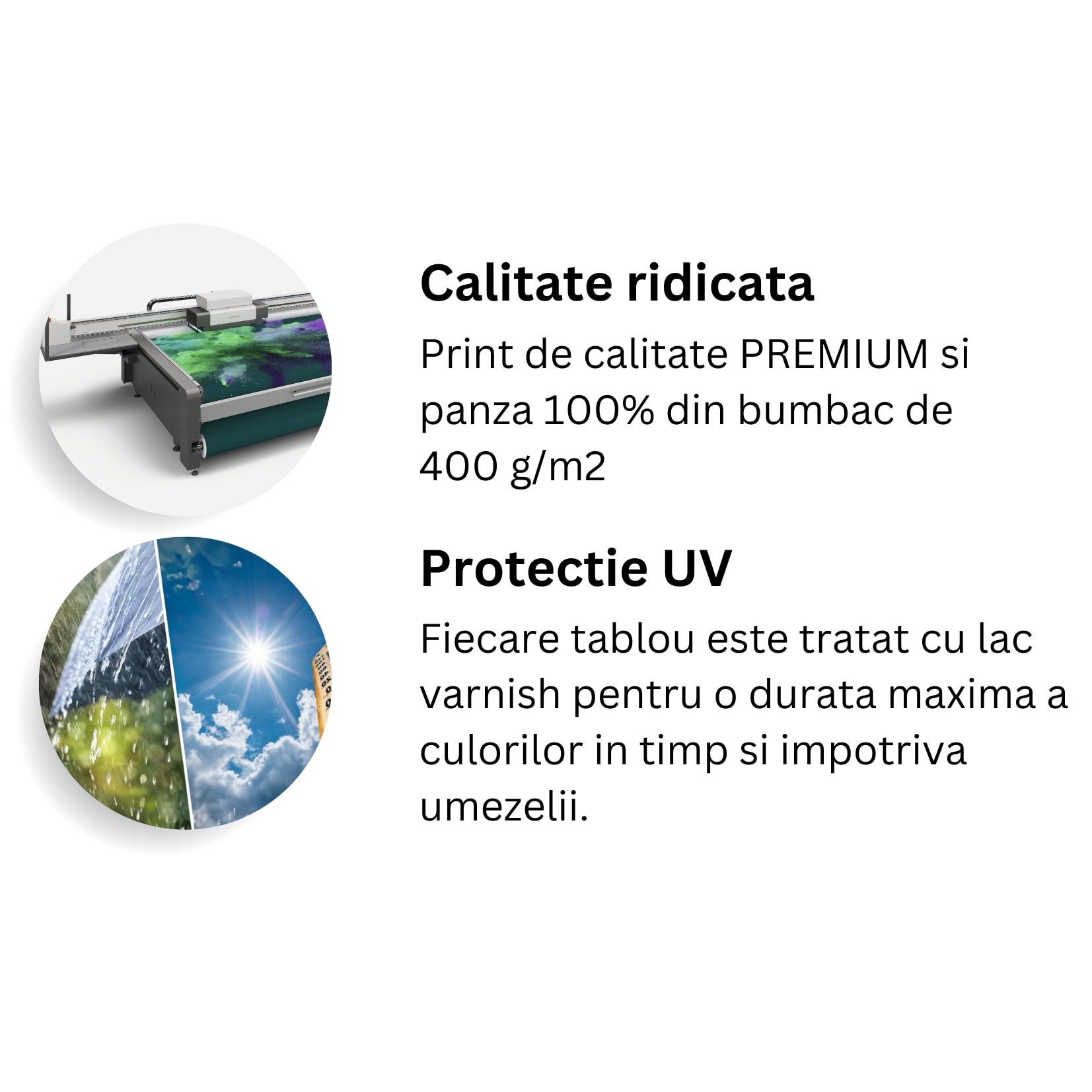 Tablou Canvas Premium, LuxCanva® A1306, Fata Cu Vioara, 90 X 120 CM ...