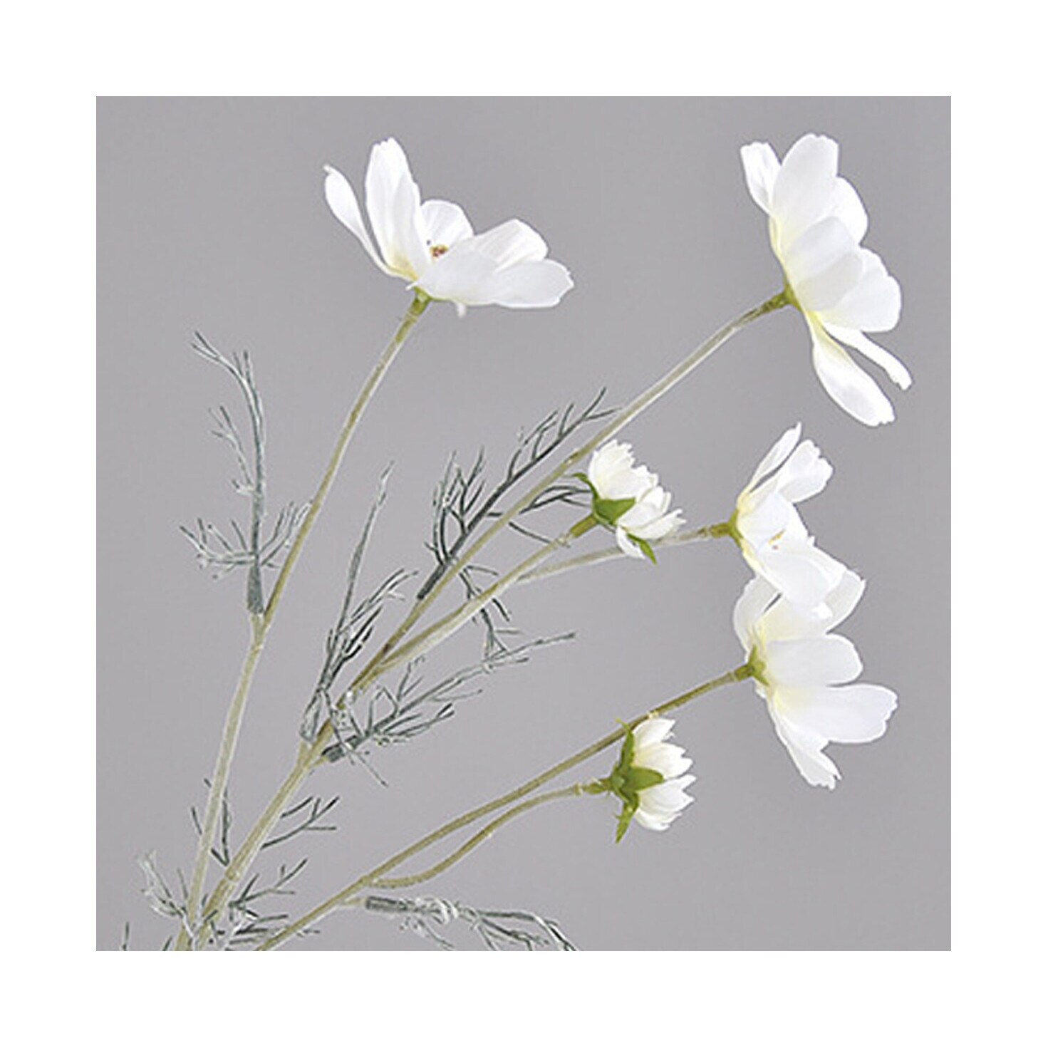 Buchet Floare Artificiala Cosmos Bipinnata, Alb, Set pentru Decoratiuni ...