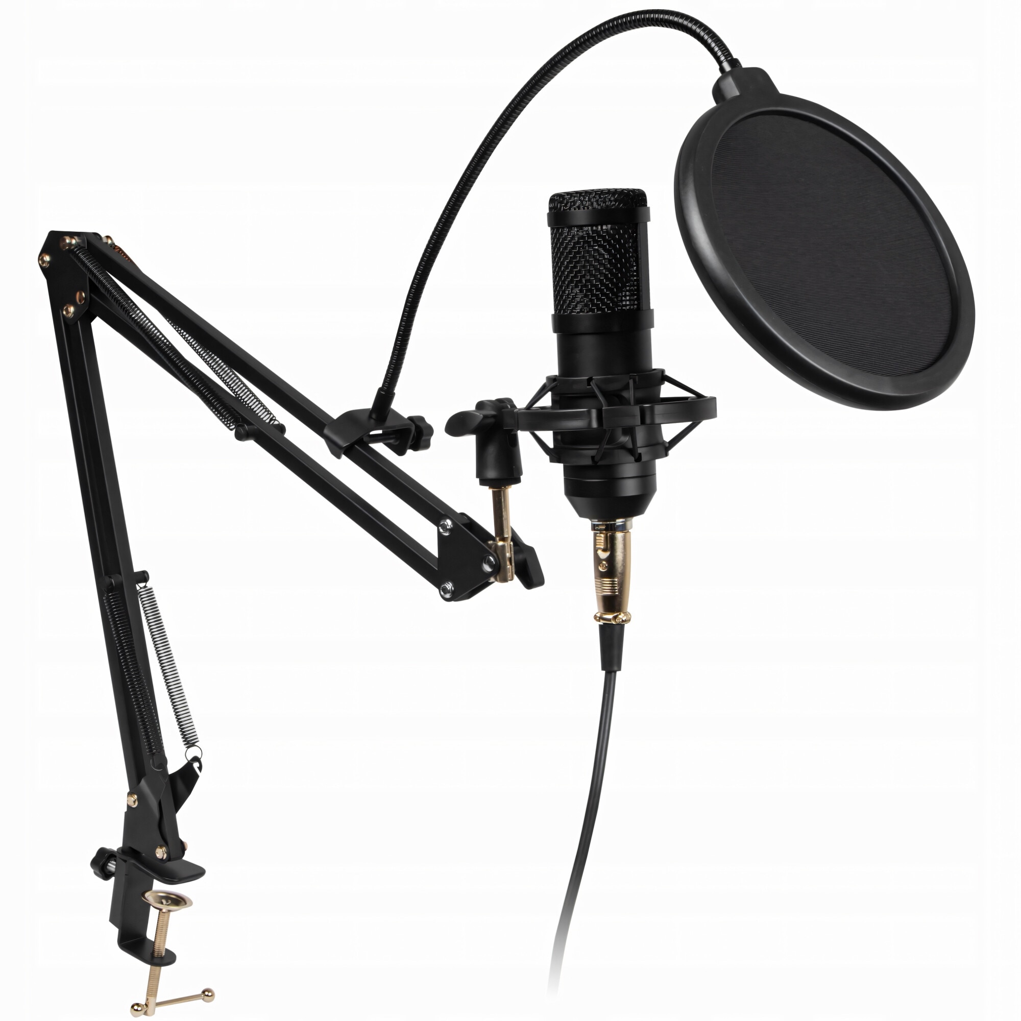 Microfon Condensator Studio RETOO TechPro, USB & Jack, Directivitate ...