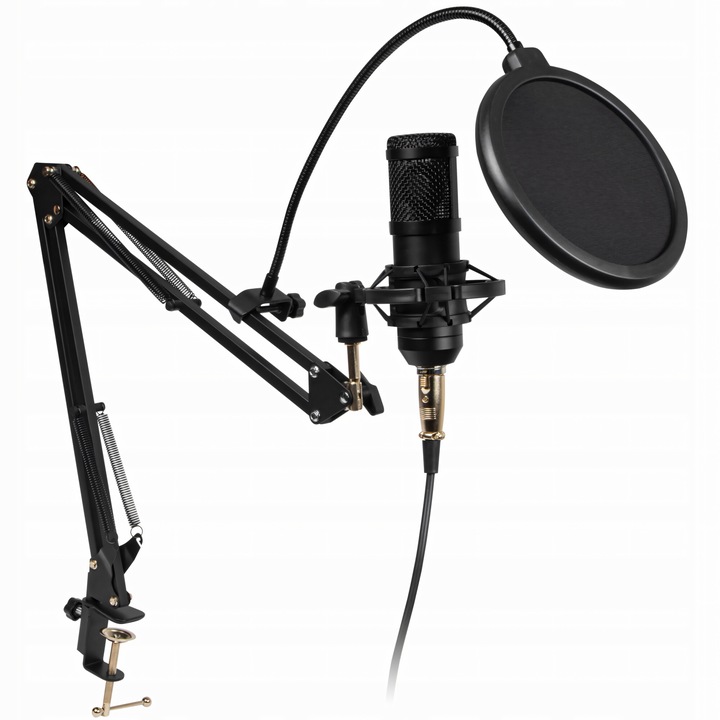 Microfon Condensator Studio RETOO TechPro, USB & Jack, Directivitate ...