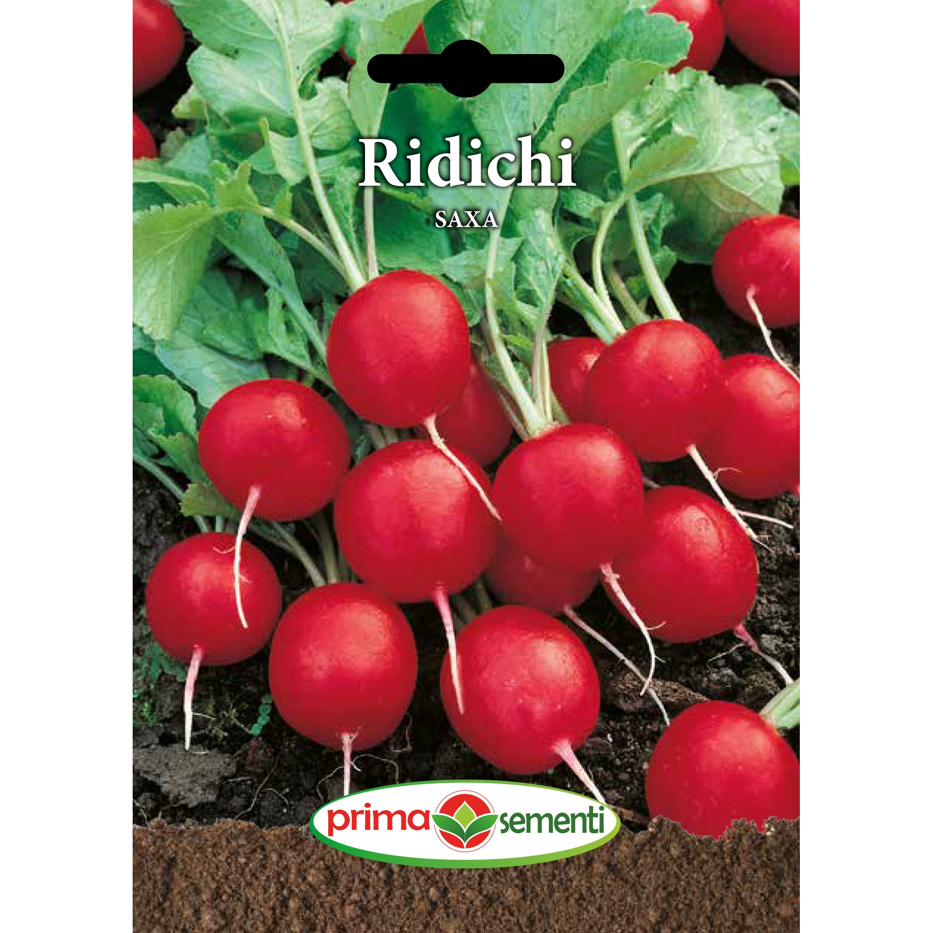 Seminte ridichi Saxa, 6 gr, Prima Sementi - eMAG.ro