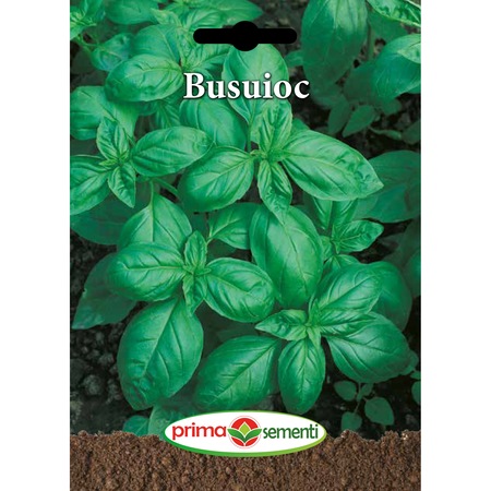 Seminte busuioc, 5 gr, Prima Sementi - eMAG.ro