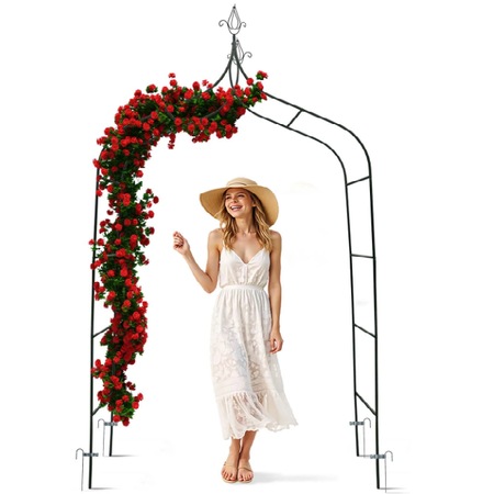 Arcada metalica pentru flori, Trandafiri, Iedera, Pergola rezistenta ...