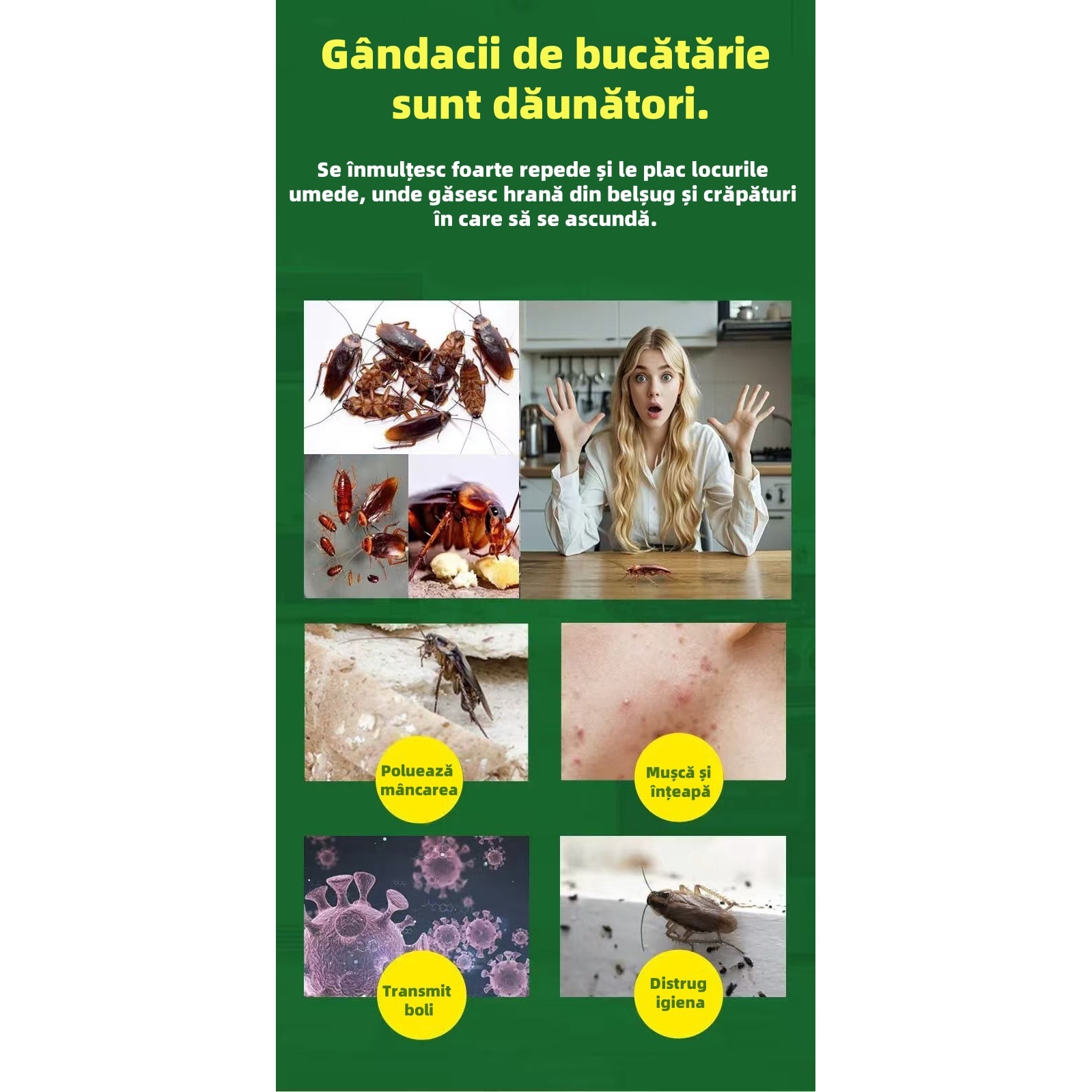 Pudra Insecticid pentru Gandaci, 5g x 5 Pachete, Imidacloprid, Eficient ...