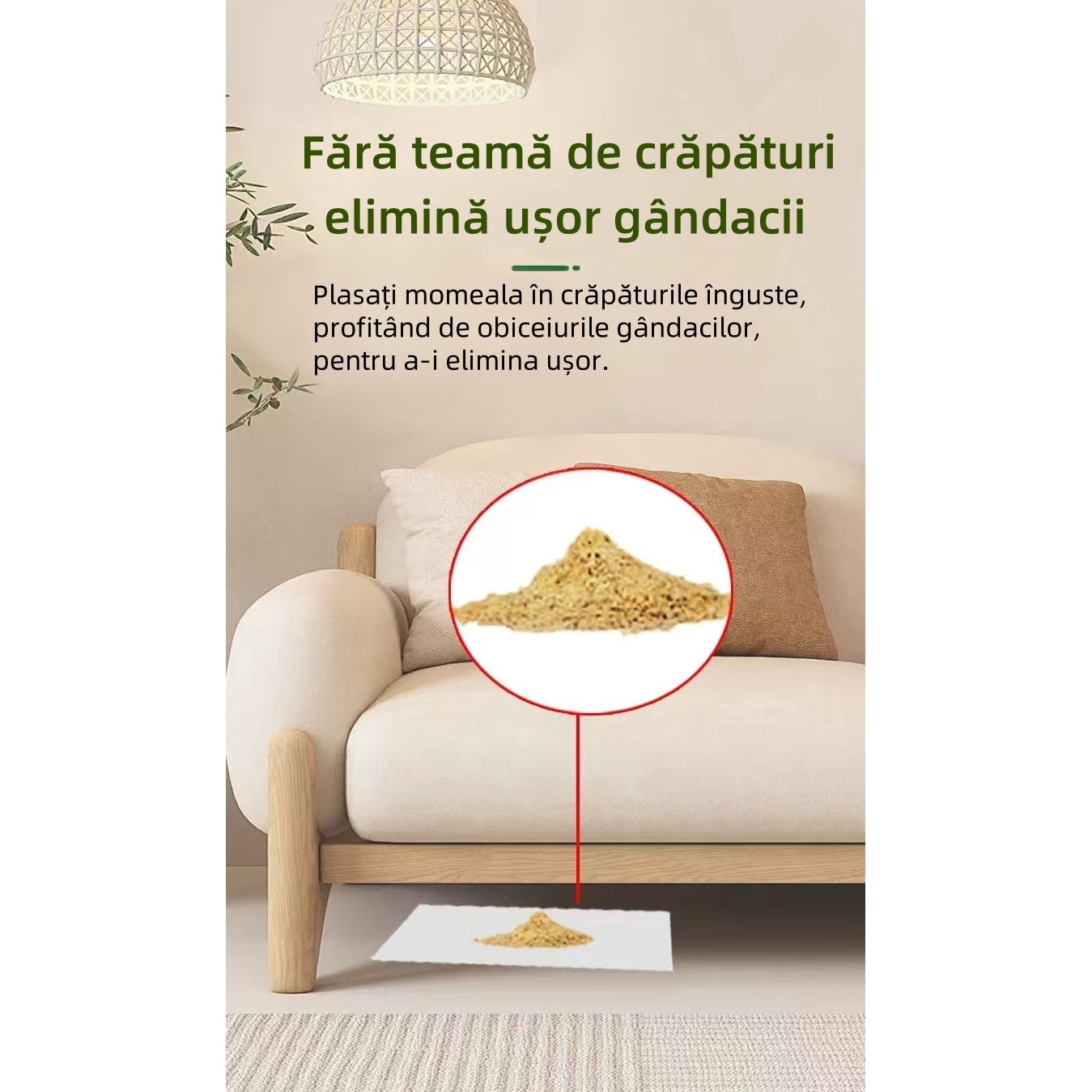 Pudra Insecticid pentru Gandaci, 5g x 5 Pachete, Imidacloprid, Eficient ...