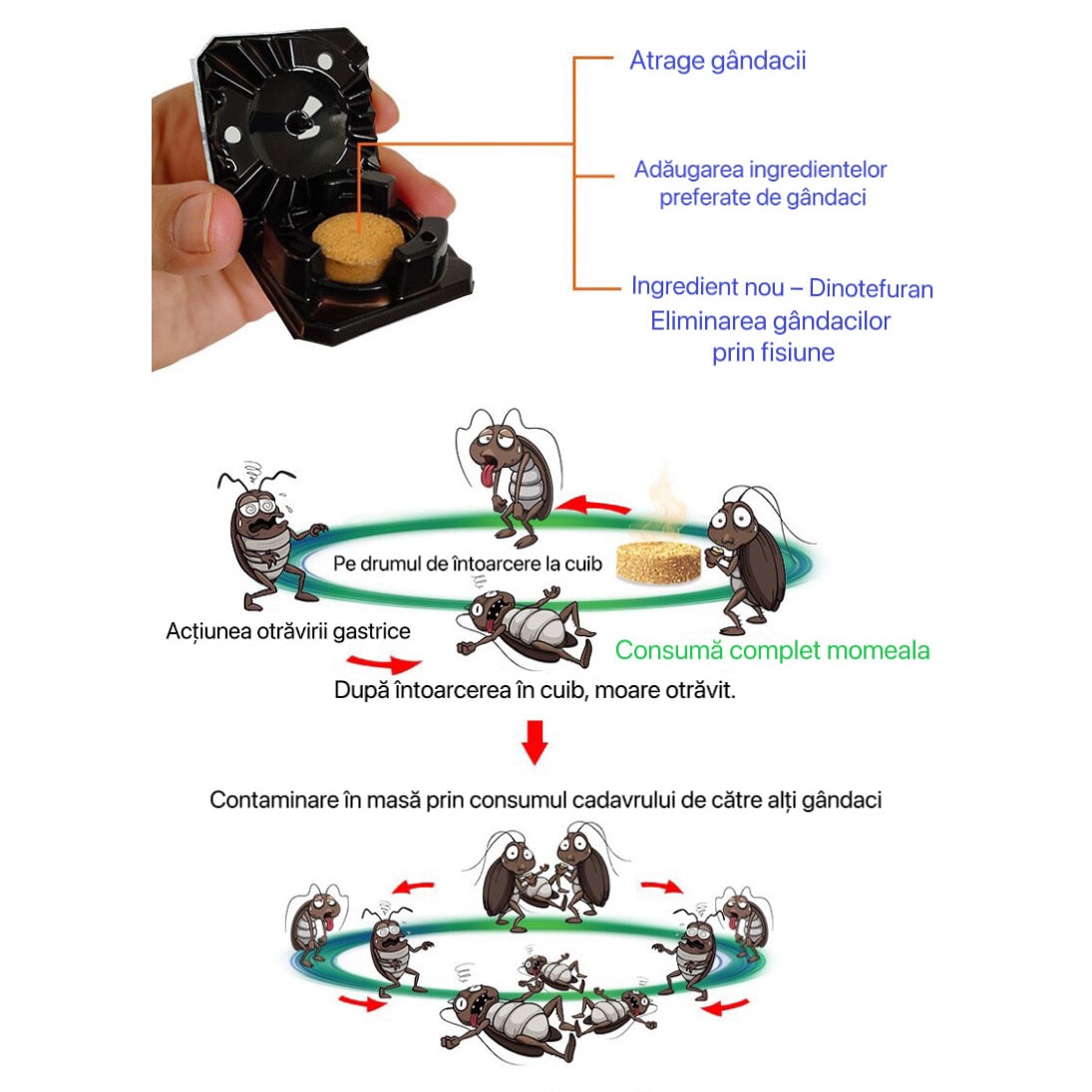 Insecticid Gandaci Profesional, Capcana cu Dinotefuran 0.5%, Pachet 8 ...