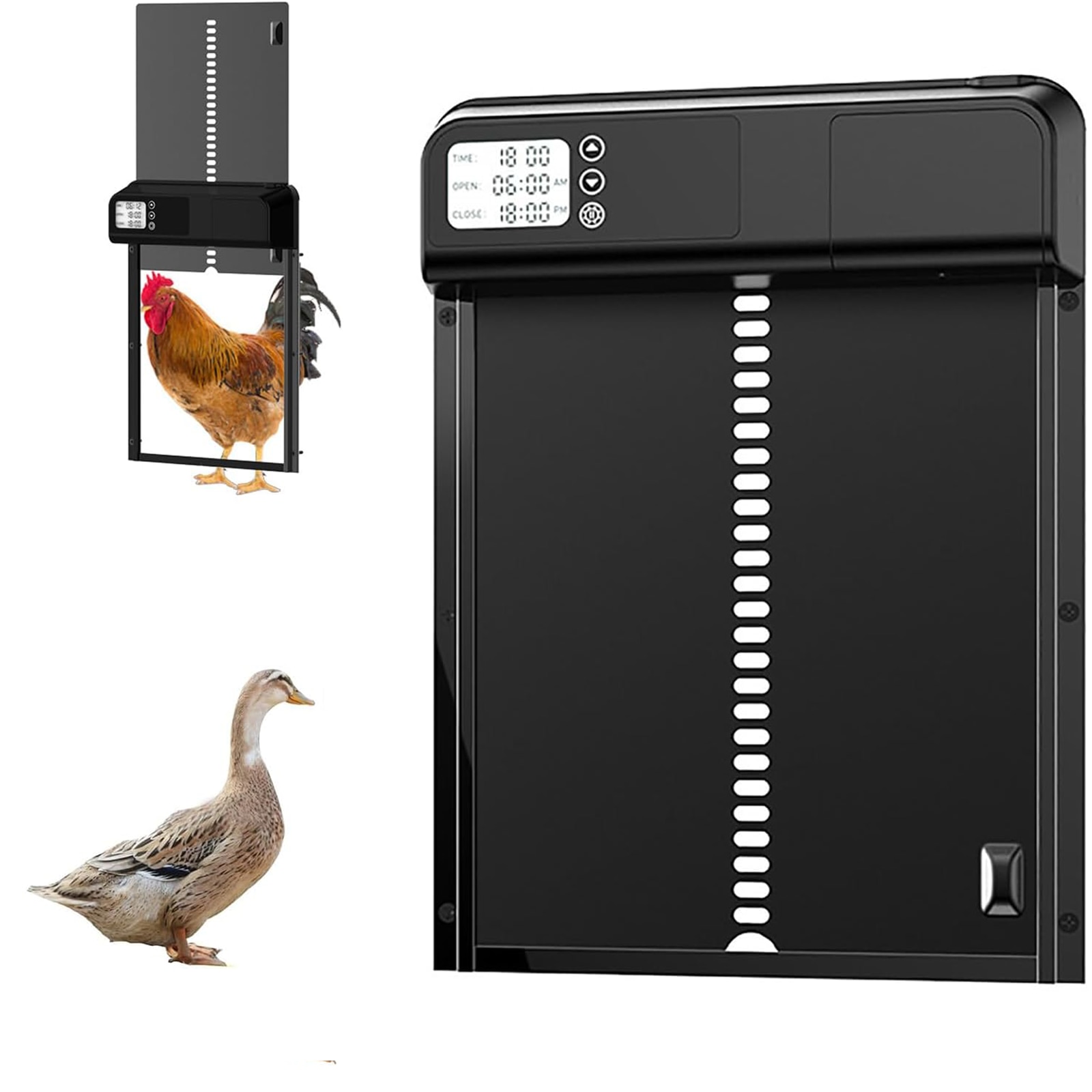 Usa automata pentru cotet de gaini, functie anti-strivire, temporizator ...