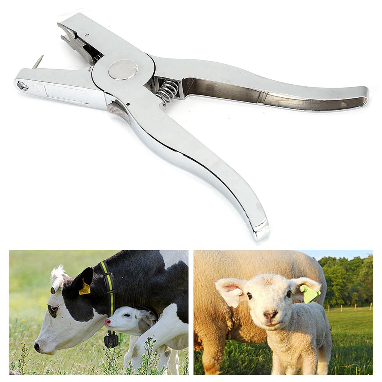 Állatjelölő fogó, Enforose, rozsdamentes acél - eMAG.hu