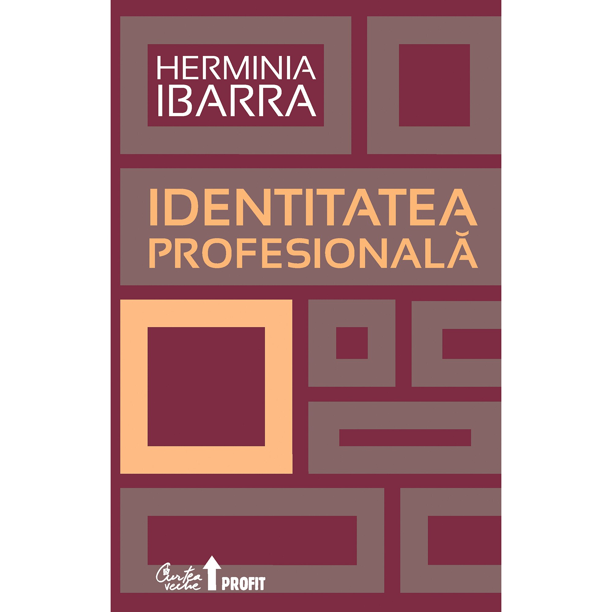 Identitatea profesionala - Herminia Ibarra - eMAG.ro