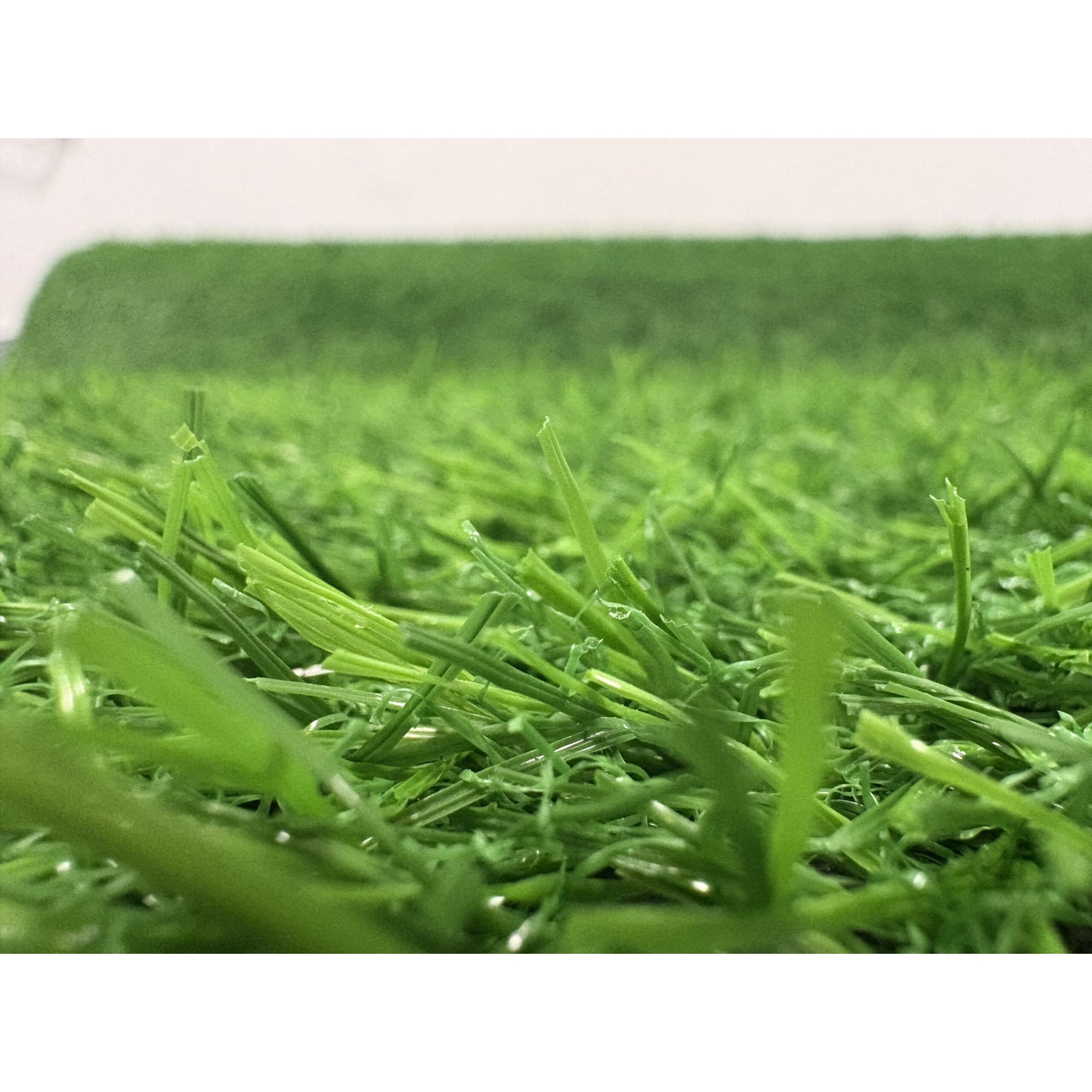 Covor Iarba Artificiala, Tip Gazon, Verde, 20 mm, 5 mp, 100×500 cm ...
