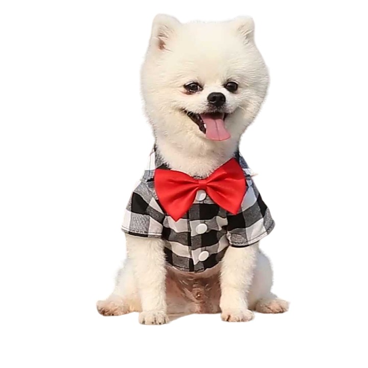 Camasa in Carouri cu Papion - Alba, XL, 40cm, 6-8kg, #HC1147 - eMAG.ro