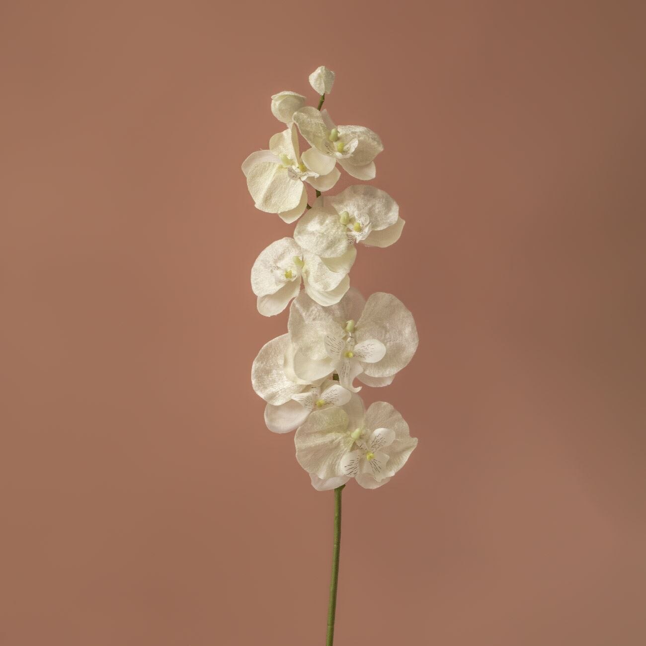 Floare artificiala cu tulpina lunga orhidee alba 74cm - eMAG.ro