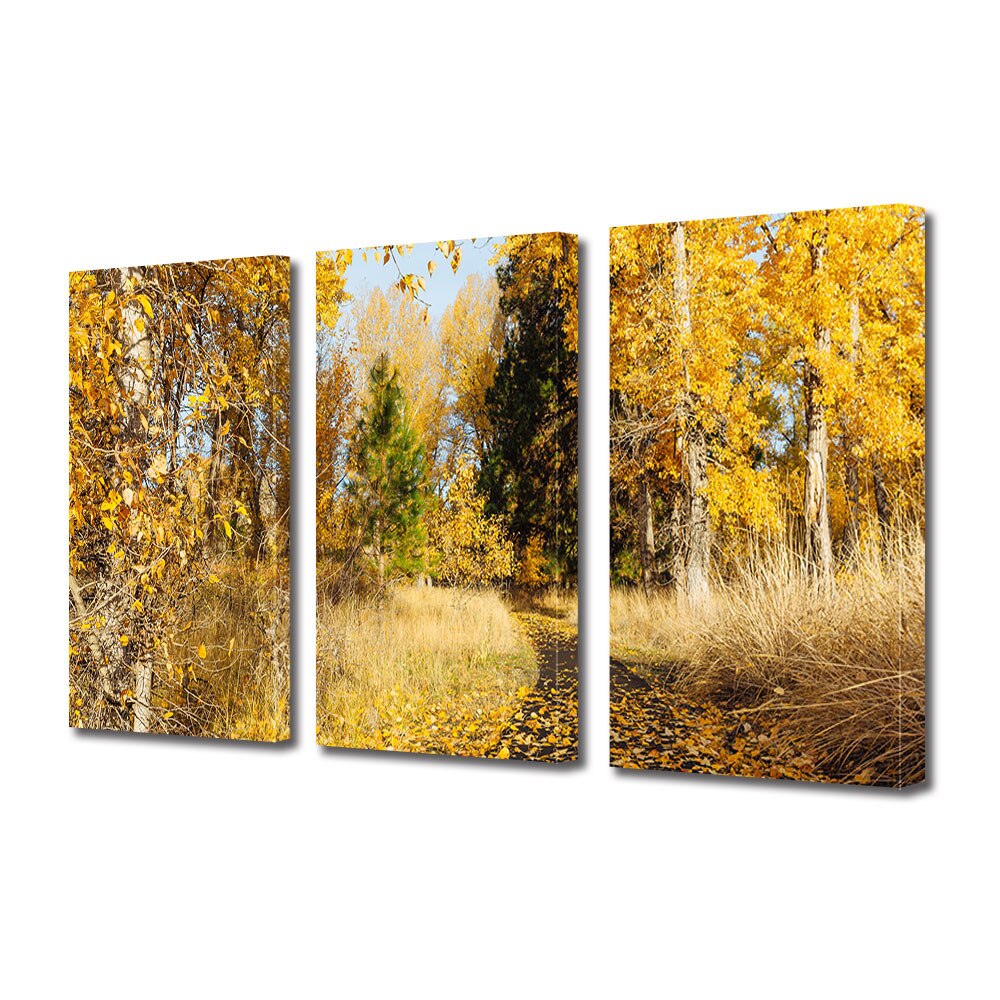 Set Tablouri Multicanvas 3 Piese Peisaj de Toamna cu Carare acoperita ...