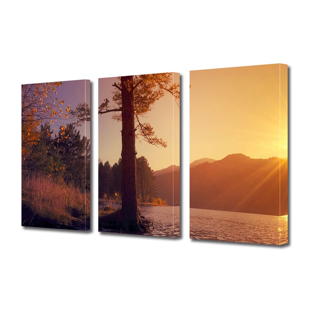 Set Tablouri Multicanvas 3 Piese Peisaj de Toamna cu Copac cu radacini ...