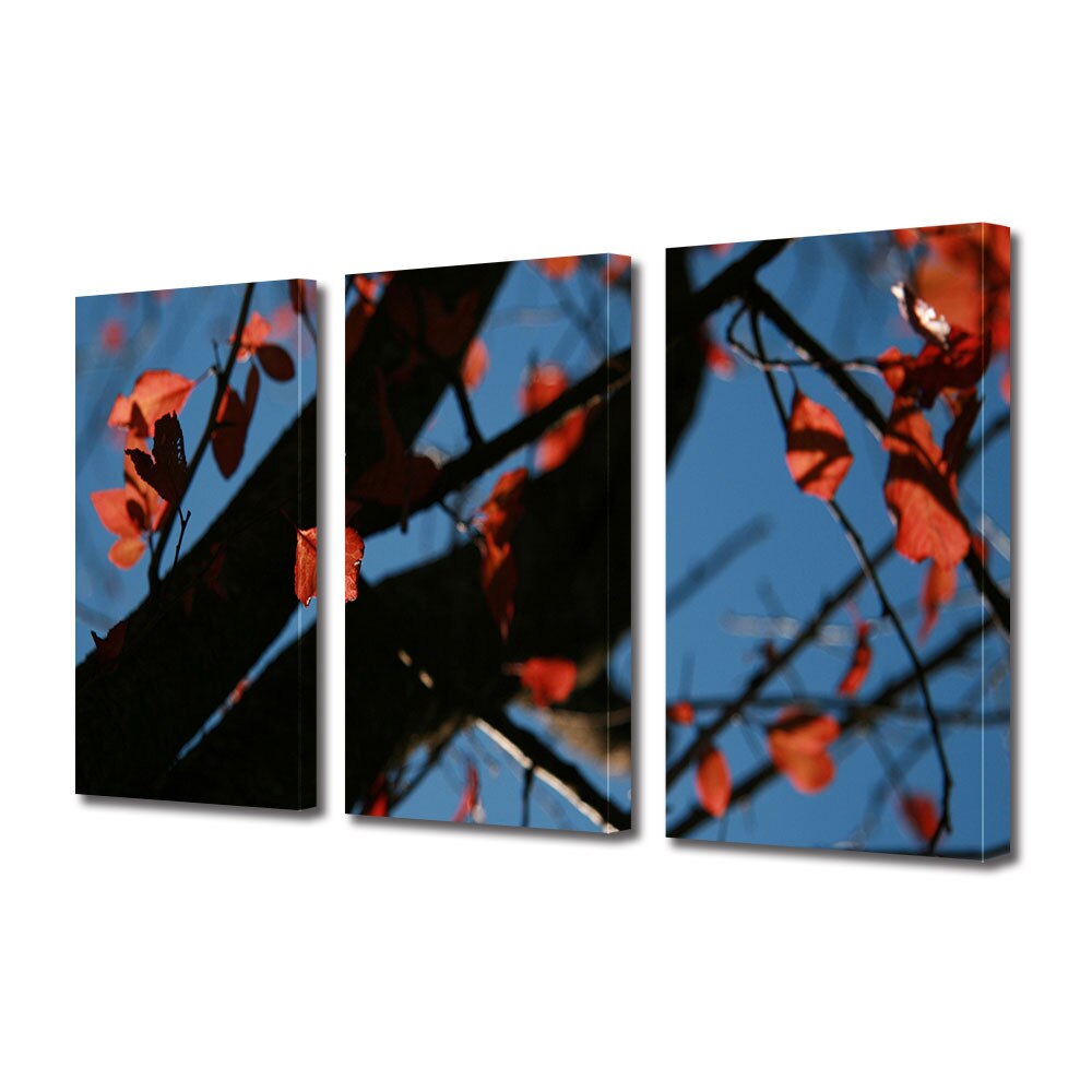 Set Tablouri Multicanvas 3 Piese Peisaj de Toamna cu Frunze rosii pe ...