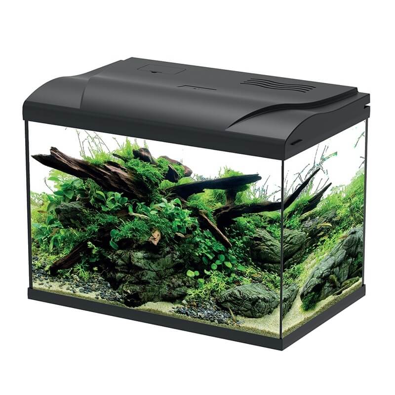 Acvariu pentru pesti 19L cu capac iluminare LED si filtru, 40 X 22, 5 X ...