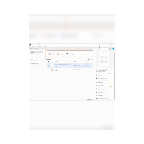 Adobe Acrobat Pro 2020 - Licenta Electronica Permanenta Windows - eMAG.ro