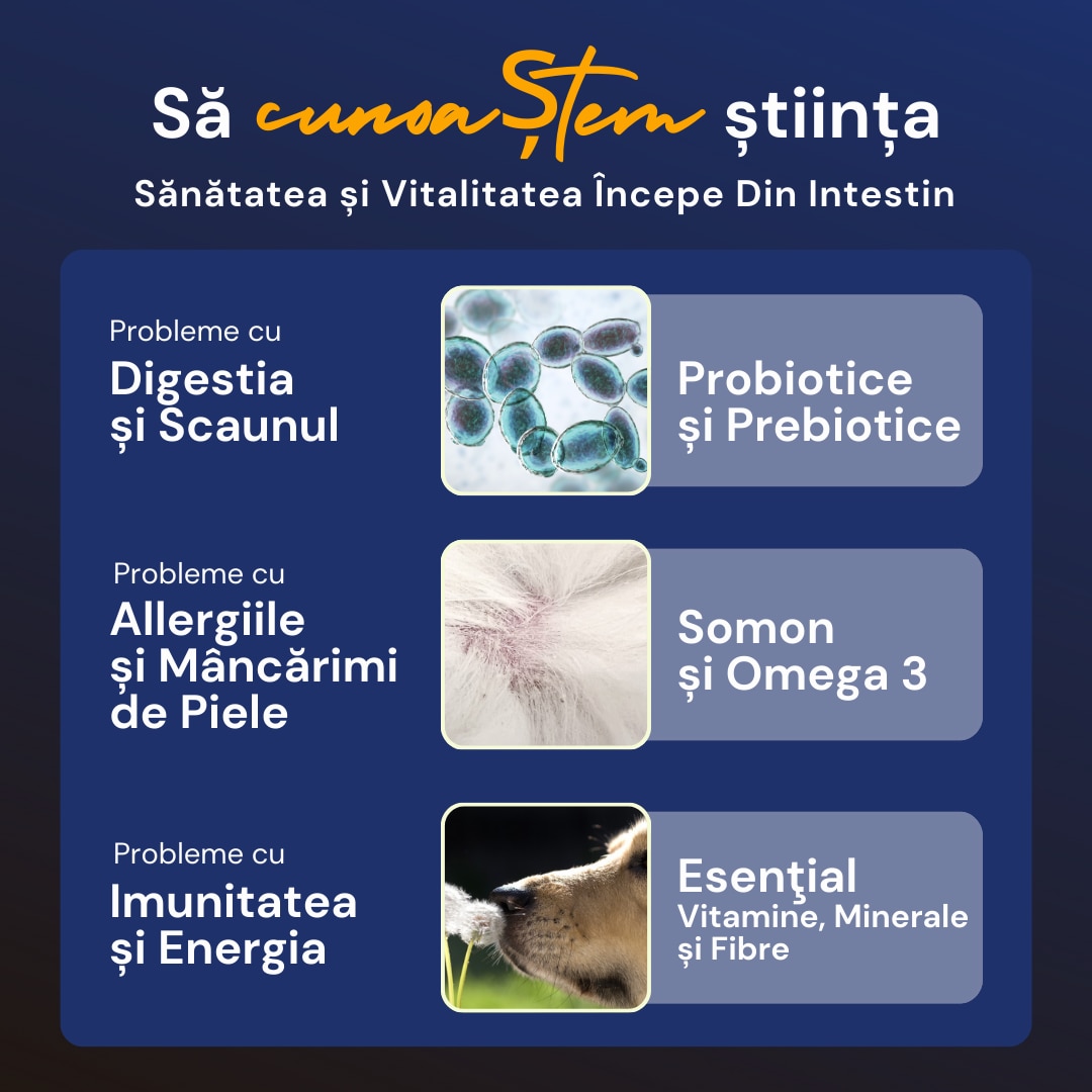 Probiotic Caini Woofy Lab – Supliment Digestiv Premium pentru Sanatatea ...