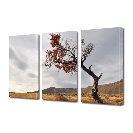 Set Tablouri Multicanvas 3 Piese Peisaj de Toamna cu Copac singuratic ...