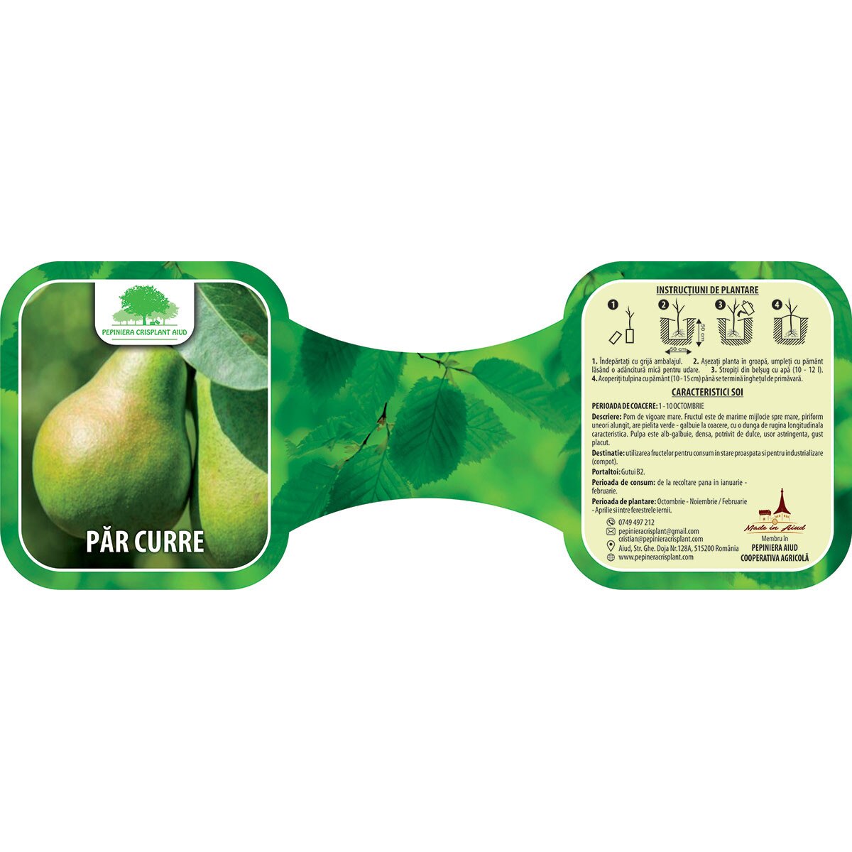 Pom Fructifer,Par - Soiul Cure ,Anul II vegetatie,Cal.I. - eMAG.ro