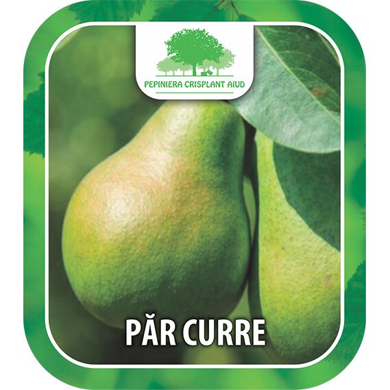 Pom Fructifer,Par - Soiul Cure ,Anul II vegetatie,Cal.I. - eMAG.ro