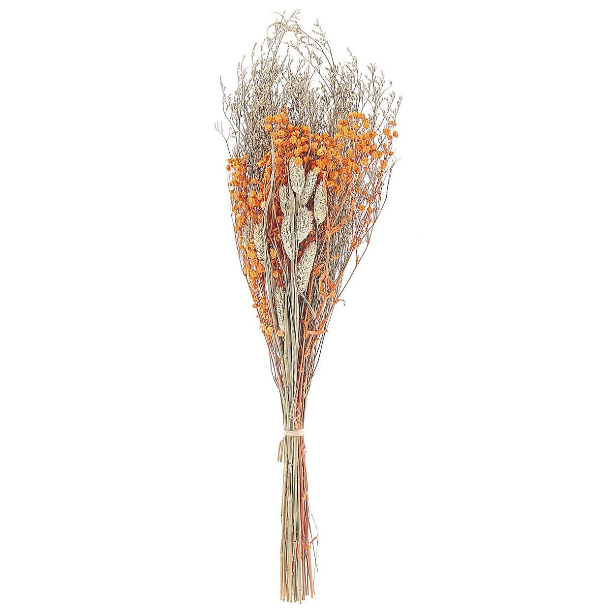 Buchet de flori uscate de portocale 65 cm Cercedilla - eMAG.ro