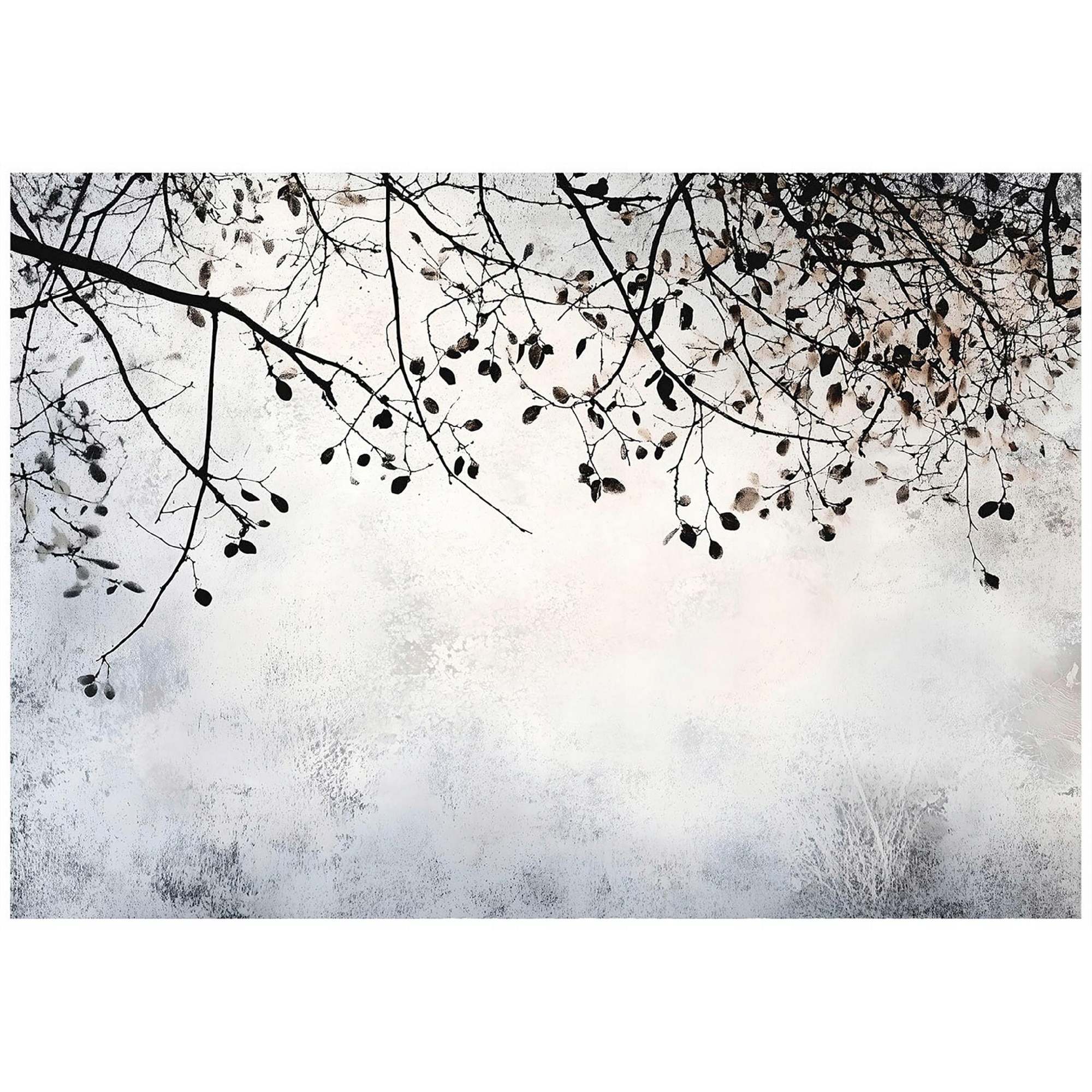 Tapéta, Fa, Ág, 350x250 cm, Modern, Nem szőtt, Tapéta, Hálószoba, Szoba ...