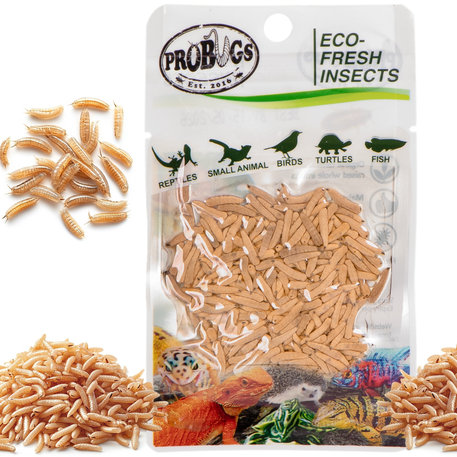 Larve proaspete de muste ProBugs Eco-Fresh Riceworm, suculente, 15g ...