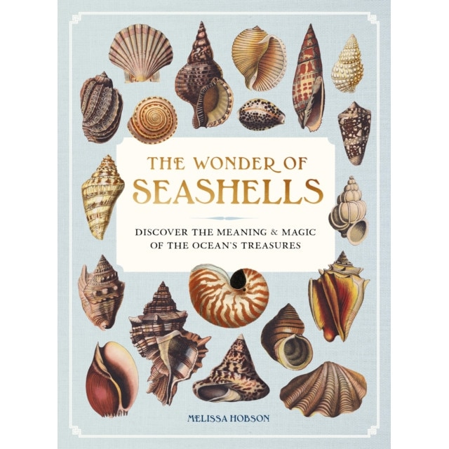 Wonder Of Seashells - Melissa Hobson - eMAG.ro