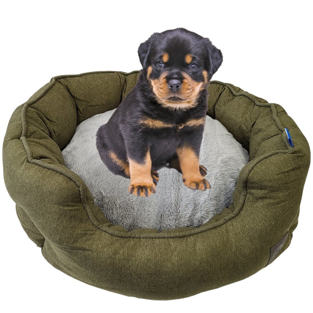 Culcus rotund pentru caini si pisici cu perna, Unizoo, verde, 56cm ...