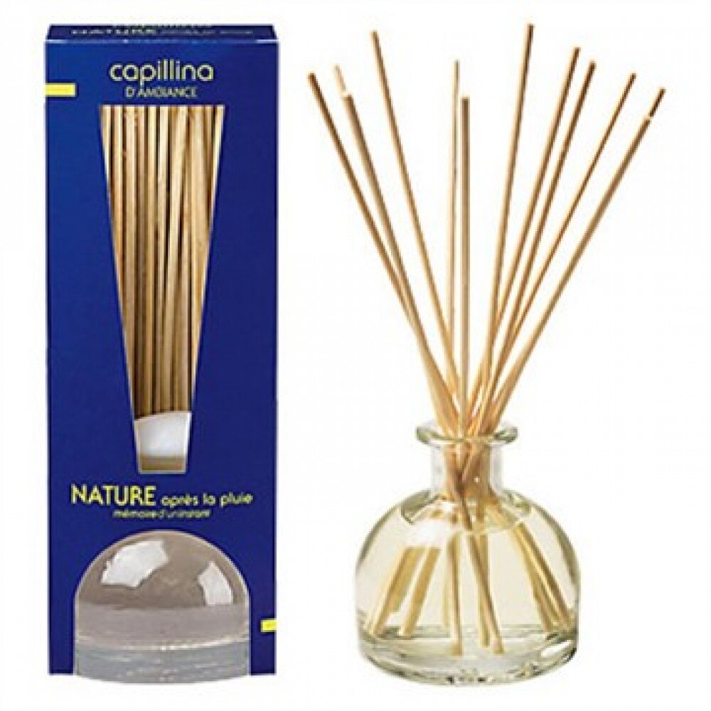 Parfum camera capilar "Nature after the rain", Terre D'Oc, 100ml - eMAG.ro