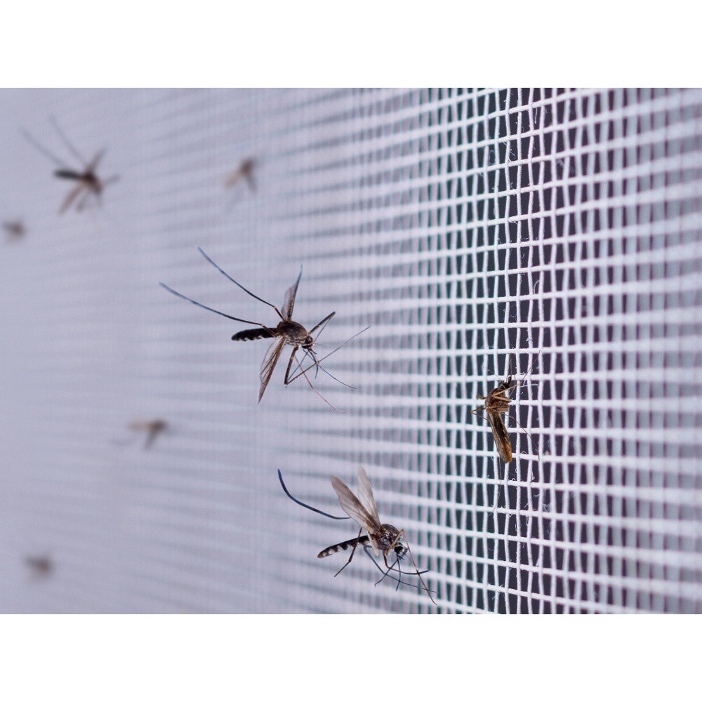 Plasa tantari fereastra cu banda magnetica 150x180 cm, anti-insecte ...