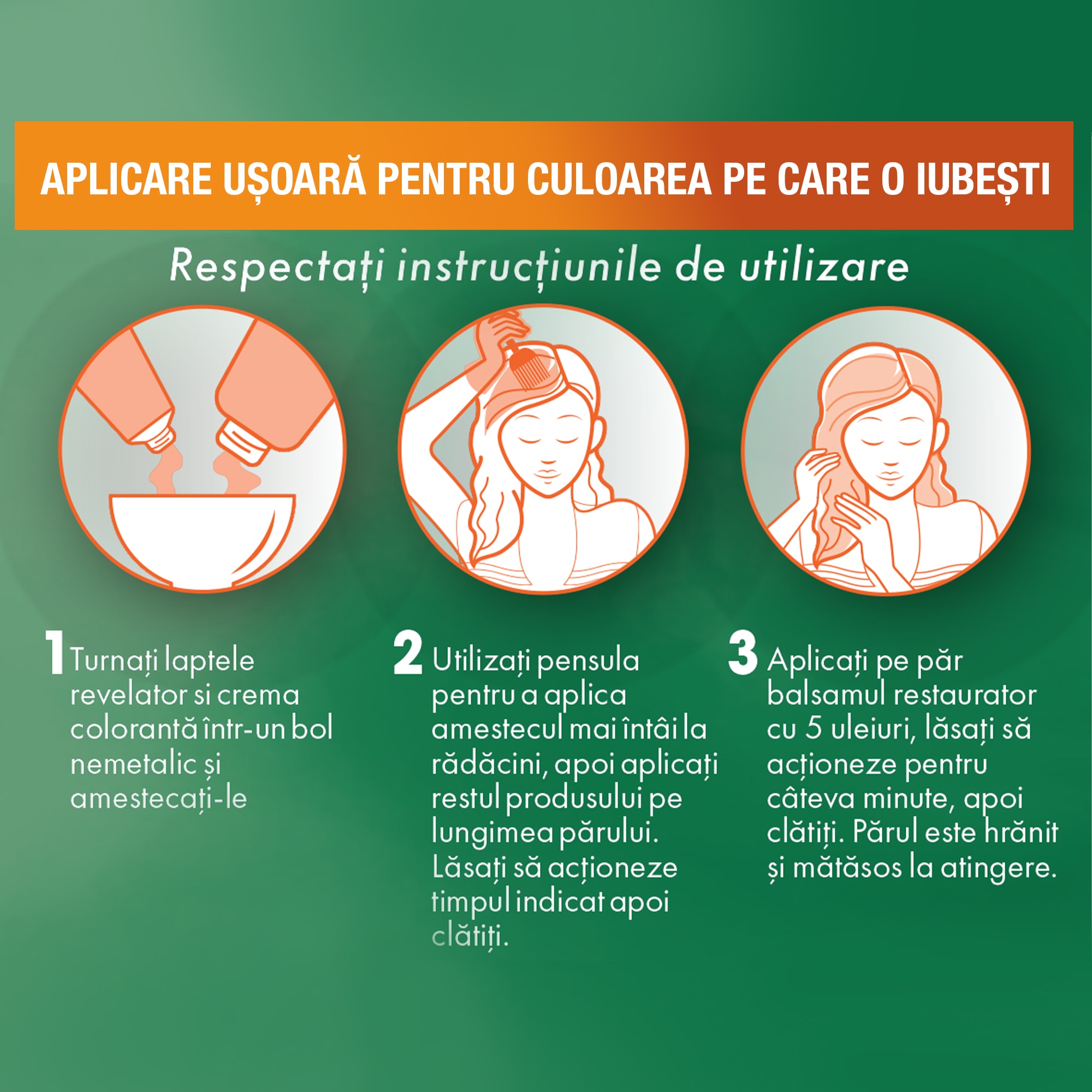 Vopsea de par permanenta cu amoniac Garnier Color Naturals, 6.41 ...