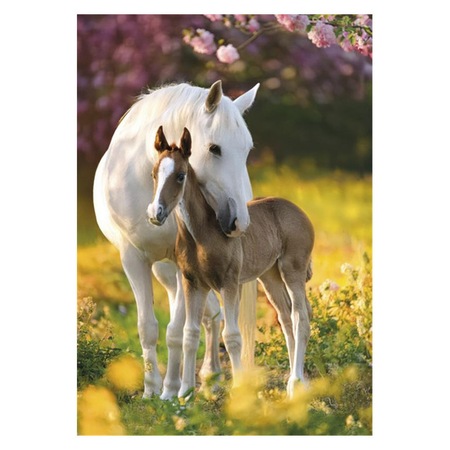 Lovas Spring Foal A/4 gumis mappa - eMAG.hu